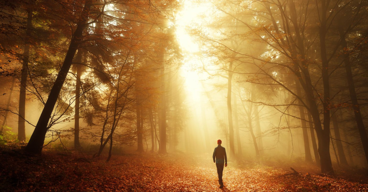 What is God's Covenant Path?