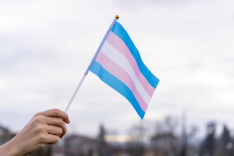 What is the LDS Church's stance on gender transitions?